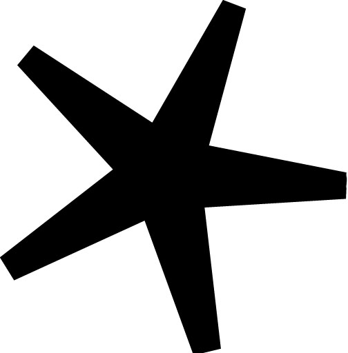 An Asterisk or a Star? | Princeton Alumni Weekly