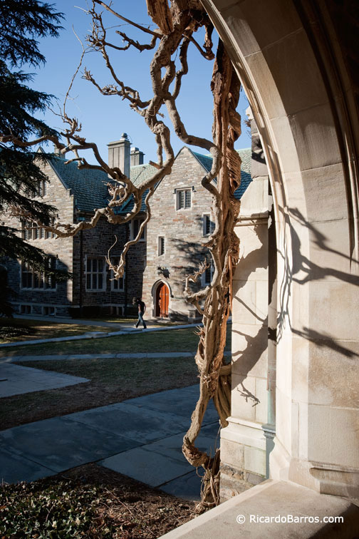 Final Scene | Princeton Alumni Weekly