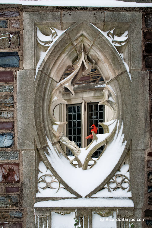 Dodge Memorial Gateway | Princeton Alumni Weekly