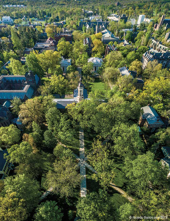 On the Campus: Vibrant Shades of Green | Princeton Alumni Weekly