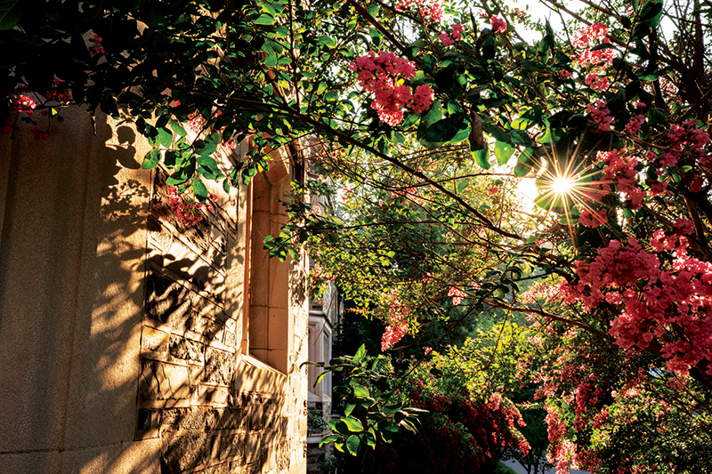 On the Campus Photo: Summer Calm | Princeton Alumni Weekly