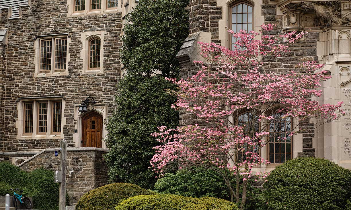 Here’s How Princeton Plans to Bring Back Students Safely | Princeton ...