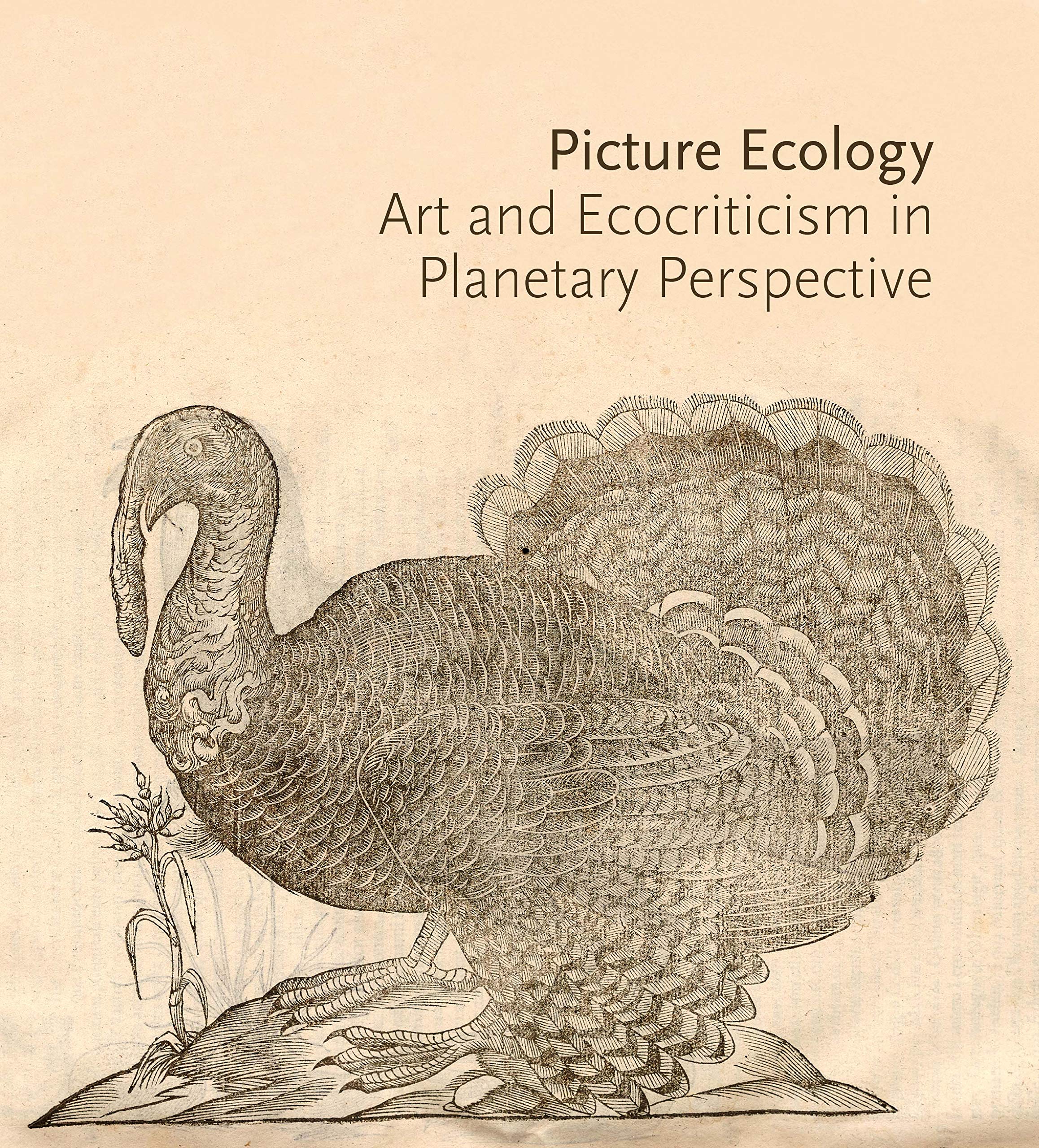Picture Ecology: Art and Ecocriticism in Planetary Perspective ...