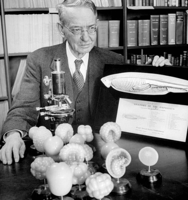 The Darwin of Guyot Hall | Princeton Alumni Weekly