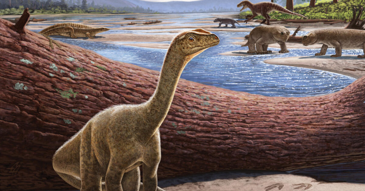 Class Close-Up: Age of Dinosaurs Course Builds Science Literacy ...