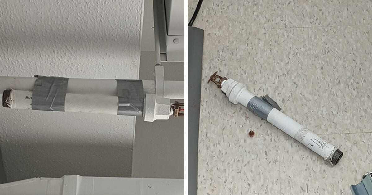 More Than a Year of Renovations Takes a Toll on Researchers at Moffett ...