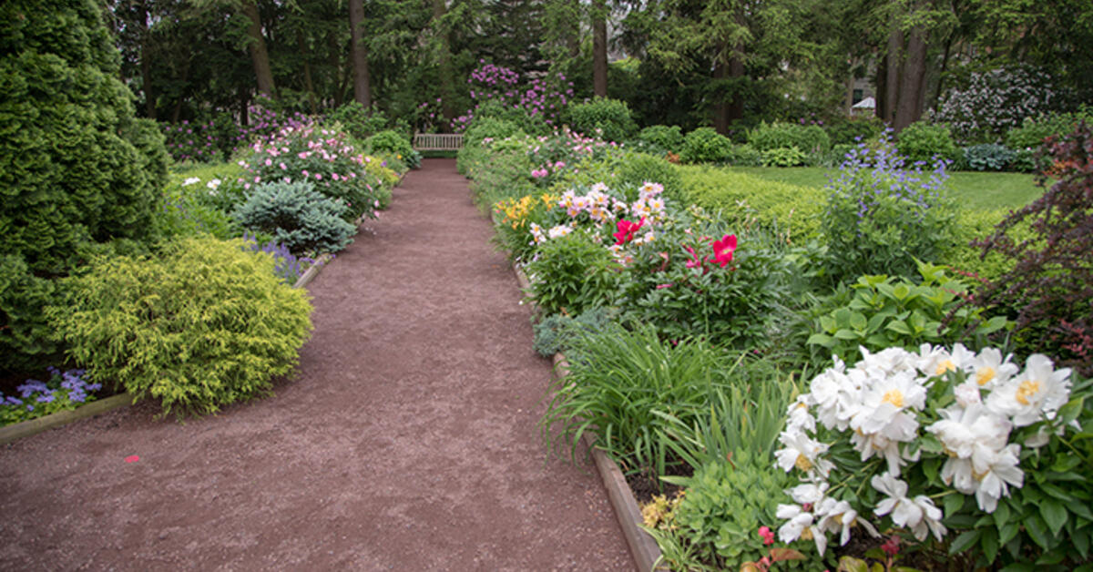 The Whole Student: Alumni Share Through Caring Tigers | Princeton ...