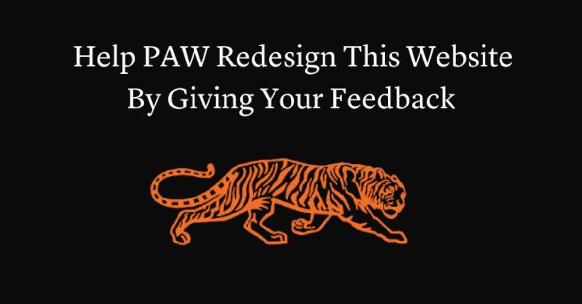 Help PAW Redesign Its Website | Princeton Alumni Weekly