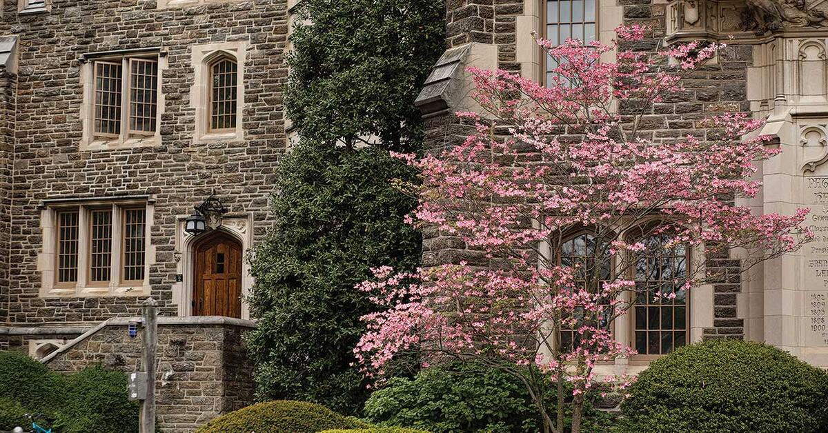 Here’s How Princeton Plans to Bring Back Students Safely | Princeton ...