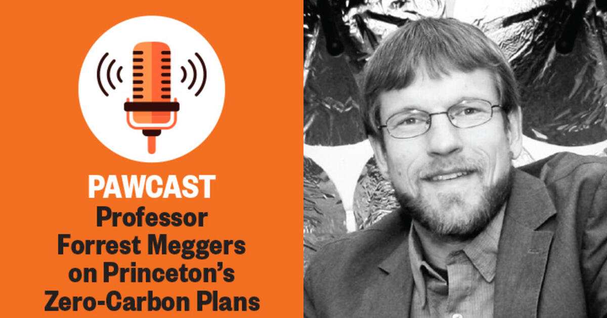 PAWcast: Professor Forrest Meggers on Princeton Going Zero Carbon ...