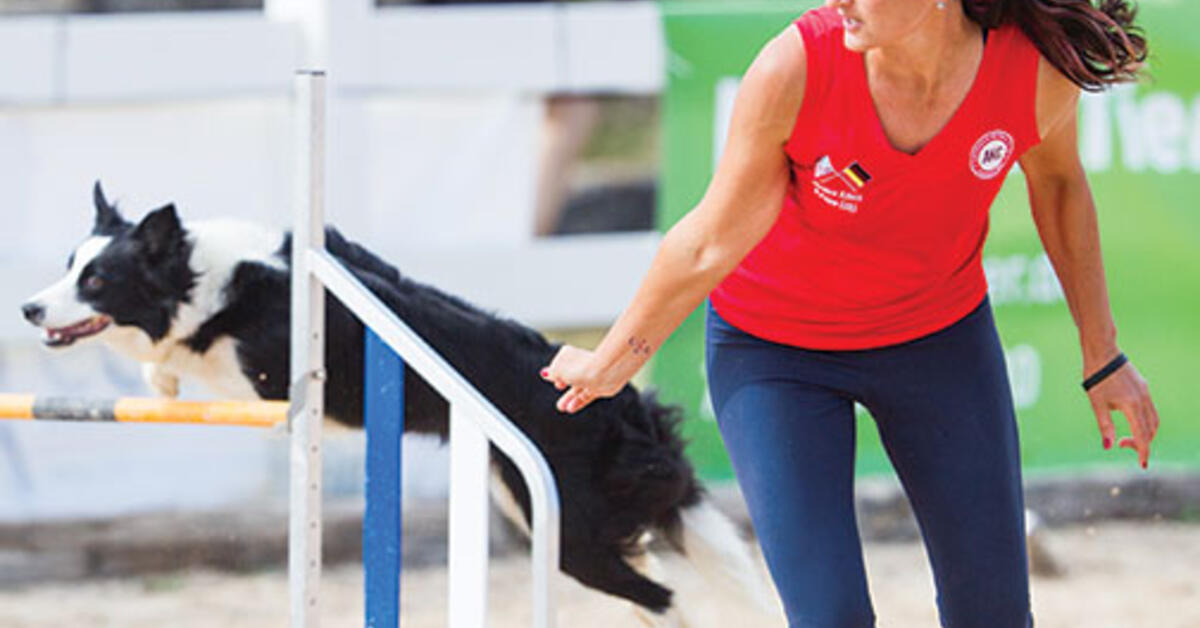 A Dog’s Life | Princeton Alumni Weekly