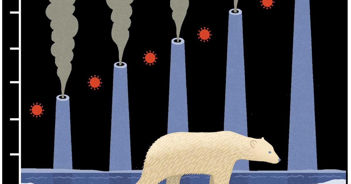 Scientists Consider Parallels in Climate, Conservation, and COVID-19 ...