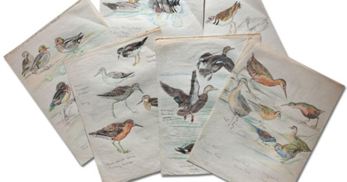From Princeton’s vault: Art of a bird-watching poet | Princeton Alumni ...